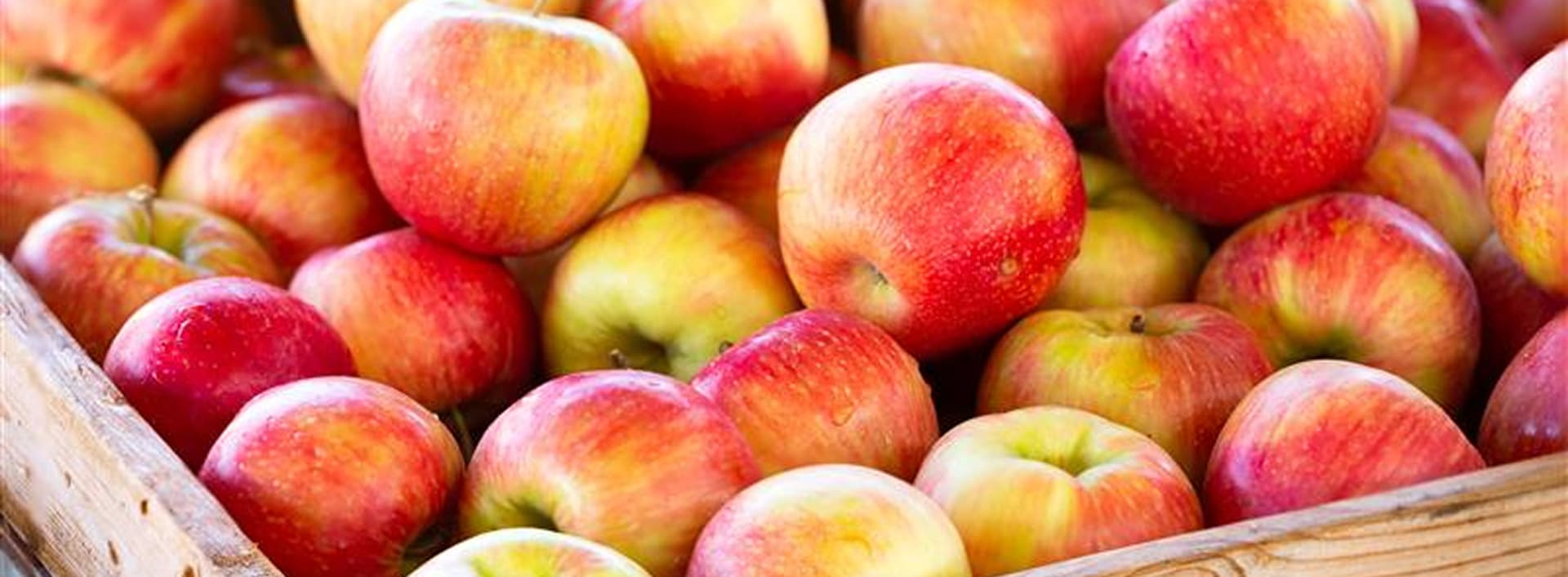 Everything You Need to Know About Apples | Sobeys Inc.