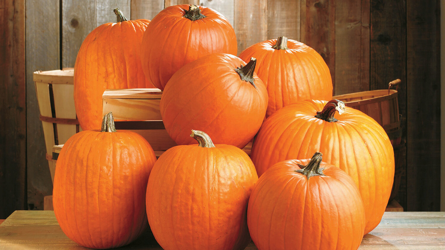 Pumpkin Recipes Perfect for Fall moments | Sobeys Inc.