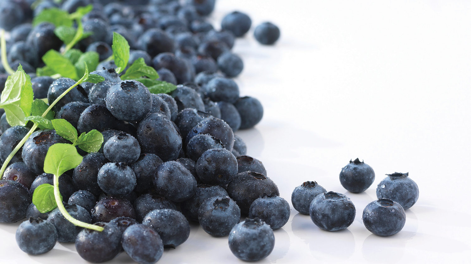 Blueberries | Sobeys Inc.
